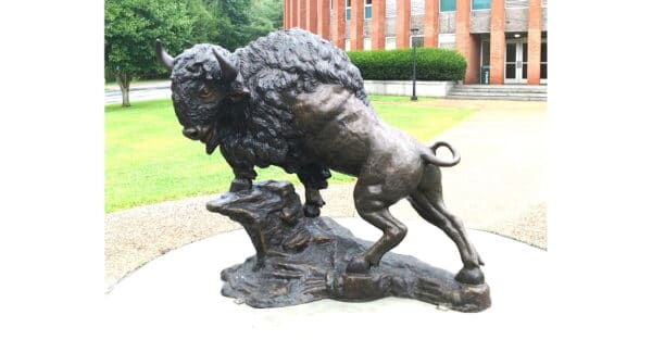 Bronze Life Size Bison Statue
